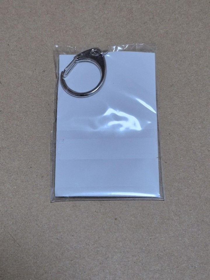 Overlord Ainz Momonga Acrylic Keychain Set of 1 Gamers Bonus | eBay