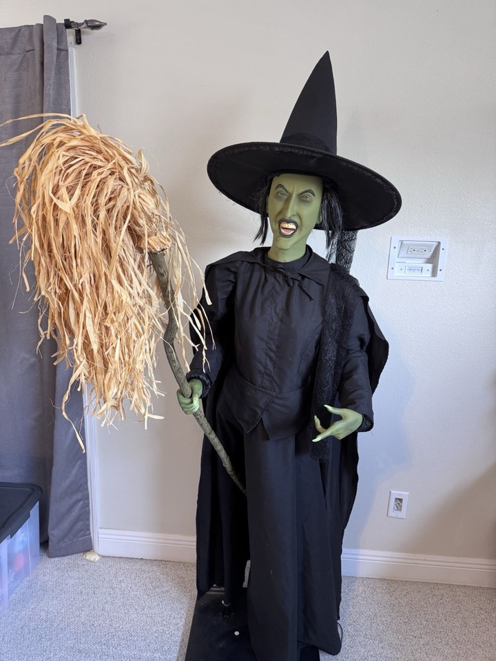 Spirit Halloween Gemmy Animatronic Wizard Of Oz Wicked Witch of the ...