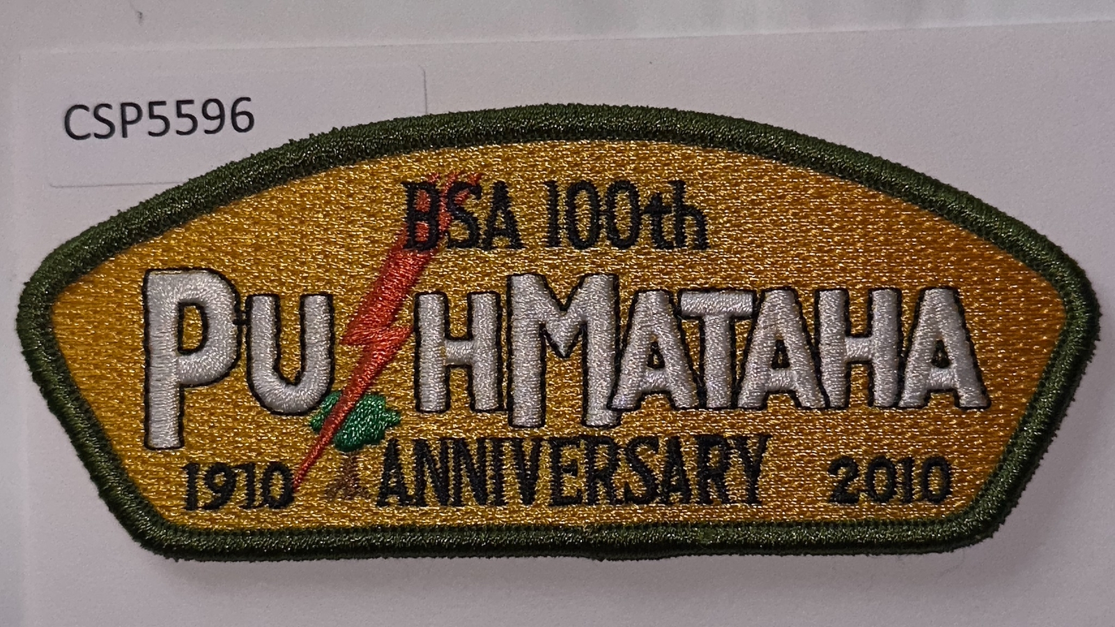 Boy Scout CSP Pushmataha Council BSA 100th Anniversary Green Border | eBay