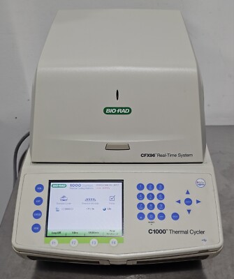 Bio Rad C1000 CFX96 Real-Time System PCR Thermal Cycler | eBay