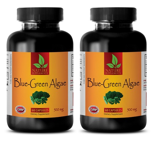 Anti-Aging Supplement - BLUE GREEN ALGUE 500mg - Spirulina 2 Bottle 120 ...