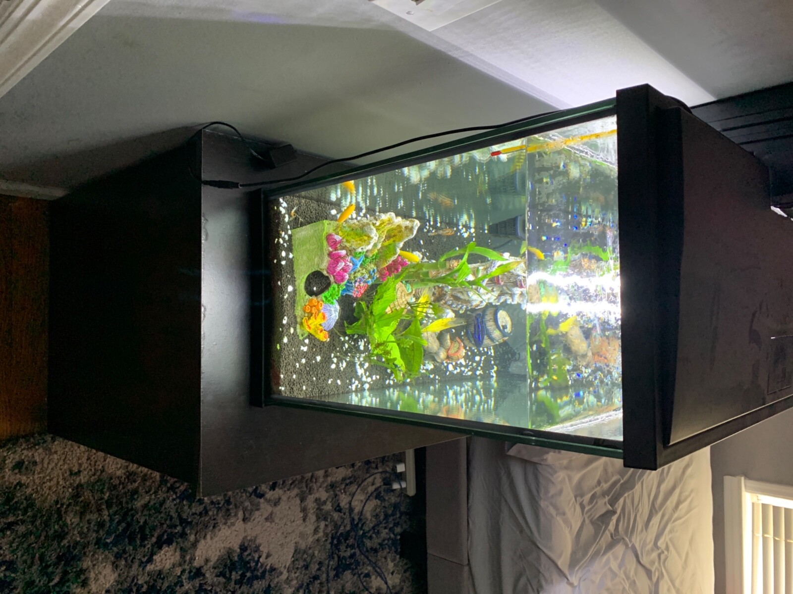 fish tank | eBay
