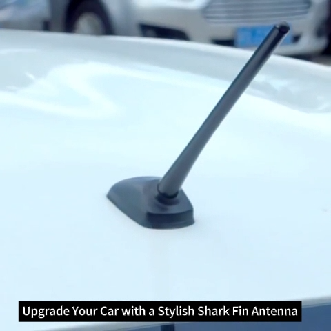 Antenne Auto Auto Dachantenne Hai Shark Fin Haifisch Antenne FM AM ...