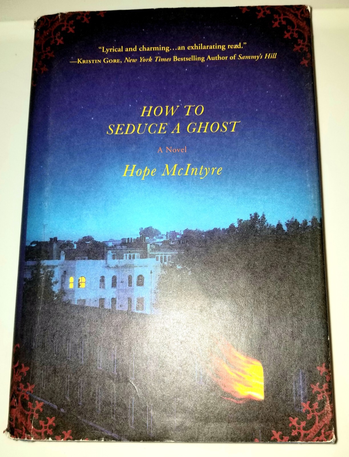 How to Seduce a Ghost by Hope McIntyre 9780892960132 | eBay