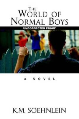 The World Of Normal Boys: A Novel - Hardcover By Kensington - GOOD ...