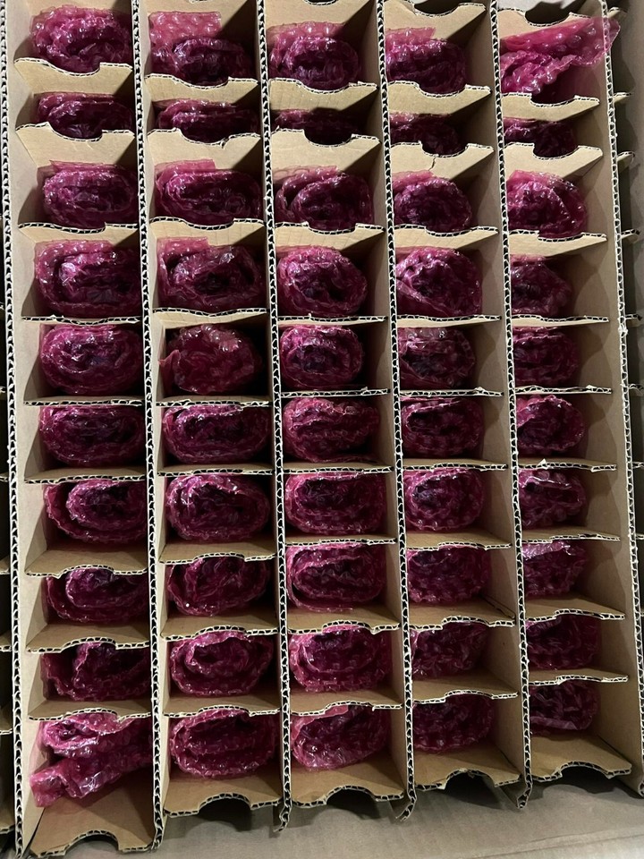 SEKONIX SF3325-100 Nvidia 2.3MPX RCCB LVDS Automotive GMSL Camera 1/2.7 ...