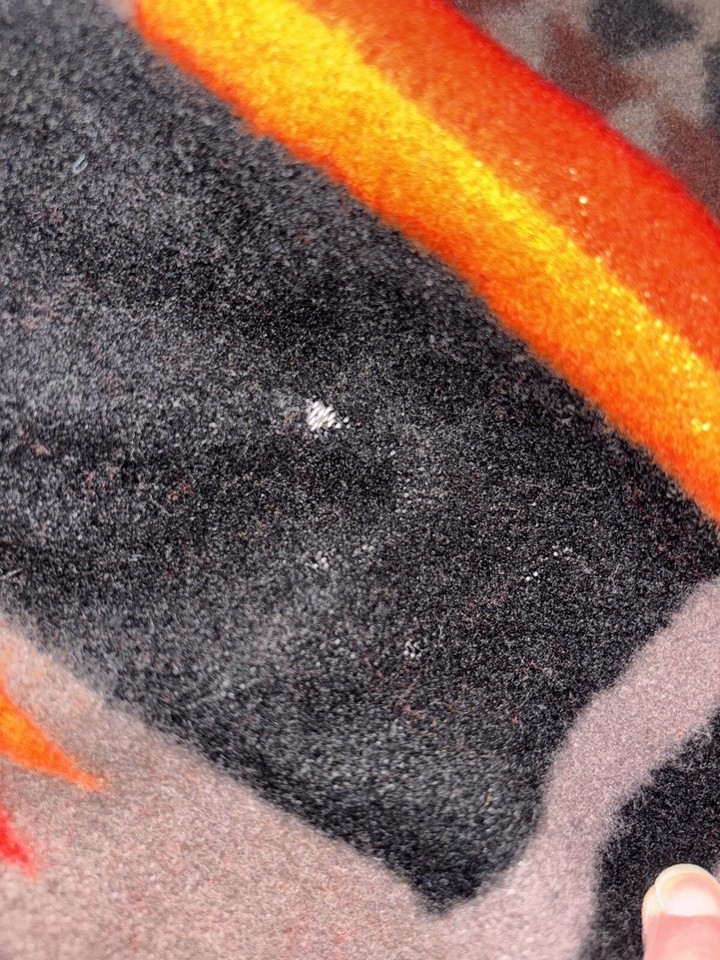 Pendleton Beaver State Indian Blanket Wool Navajo Print Chief Joseph ...