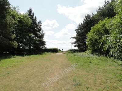 Photo 6x4 Looking towards Colney Lane from Cringleford Wood c2011 | eBay UK