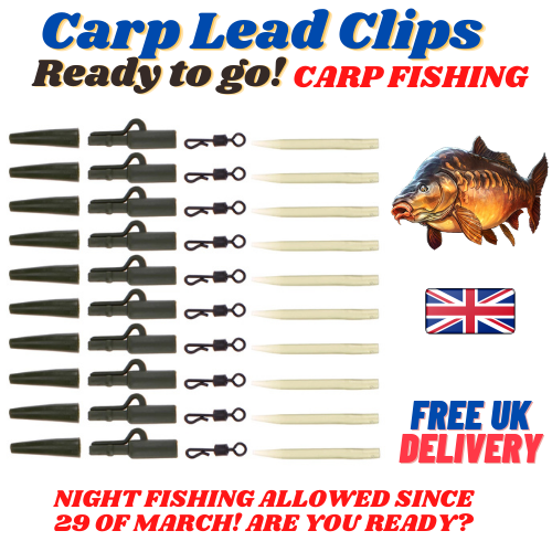 Carp lead clips Quick Change swivels Anti Tangle Sleeves CARP FISHING ...