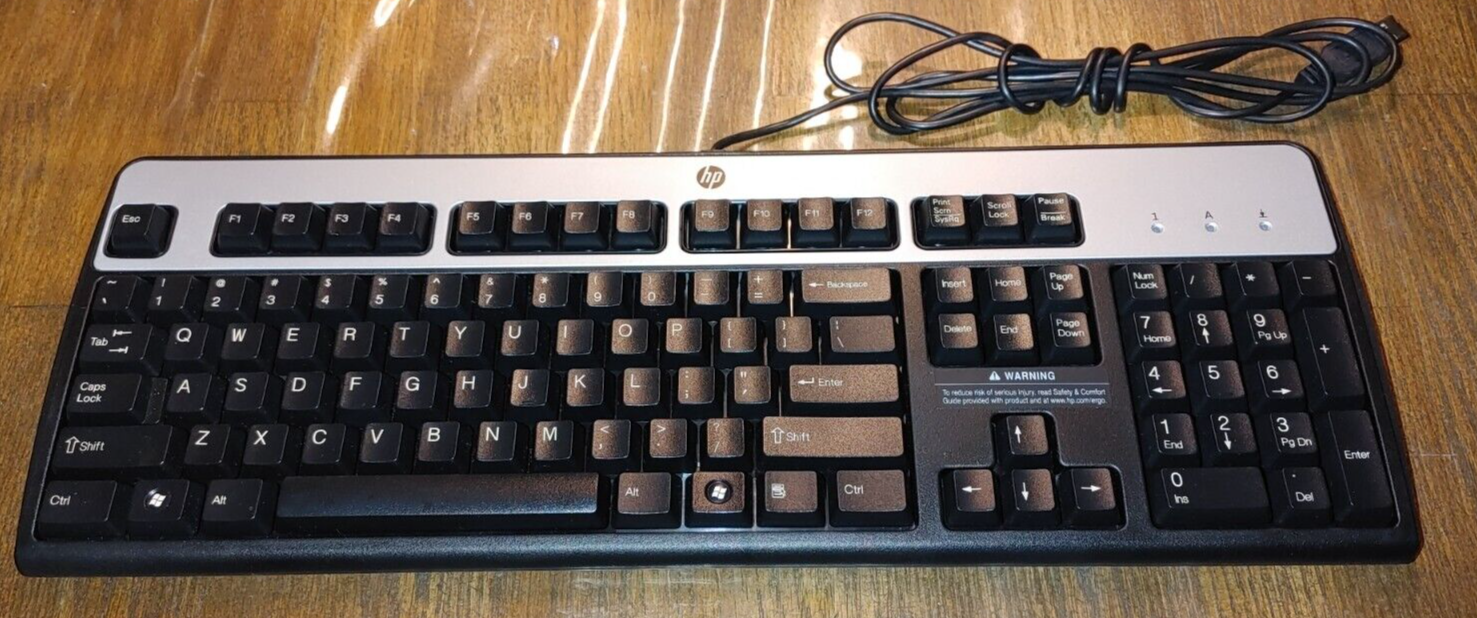 Hewlett Packard KU-0316 Black/Silver USB Wired 104-Key Layout Keyboard ...