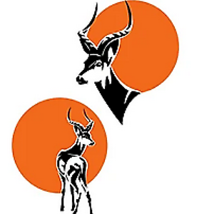 Impala UK | eBay UK Stores