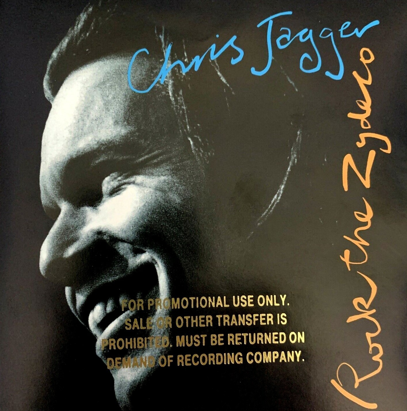 Chris Jagger - Rock the Zydeco by CD 1995 Curb Records PROMO Zydeco ...