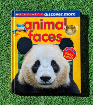 Animal Faces Scholastic Discover Learning Education Book by Arlon ...