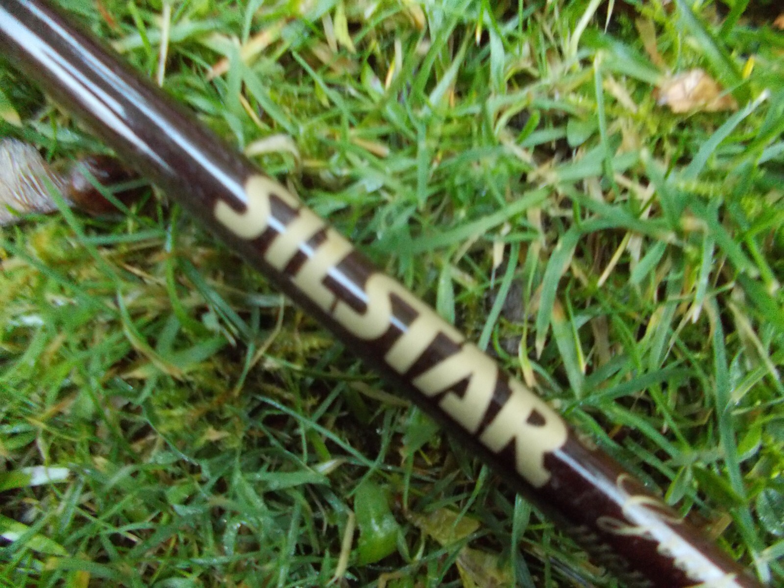 Silstar Graphite 3561-270 Light feeder fishing rod FISHING SET UP | eBay UK