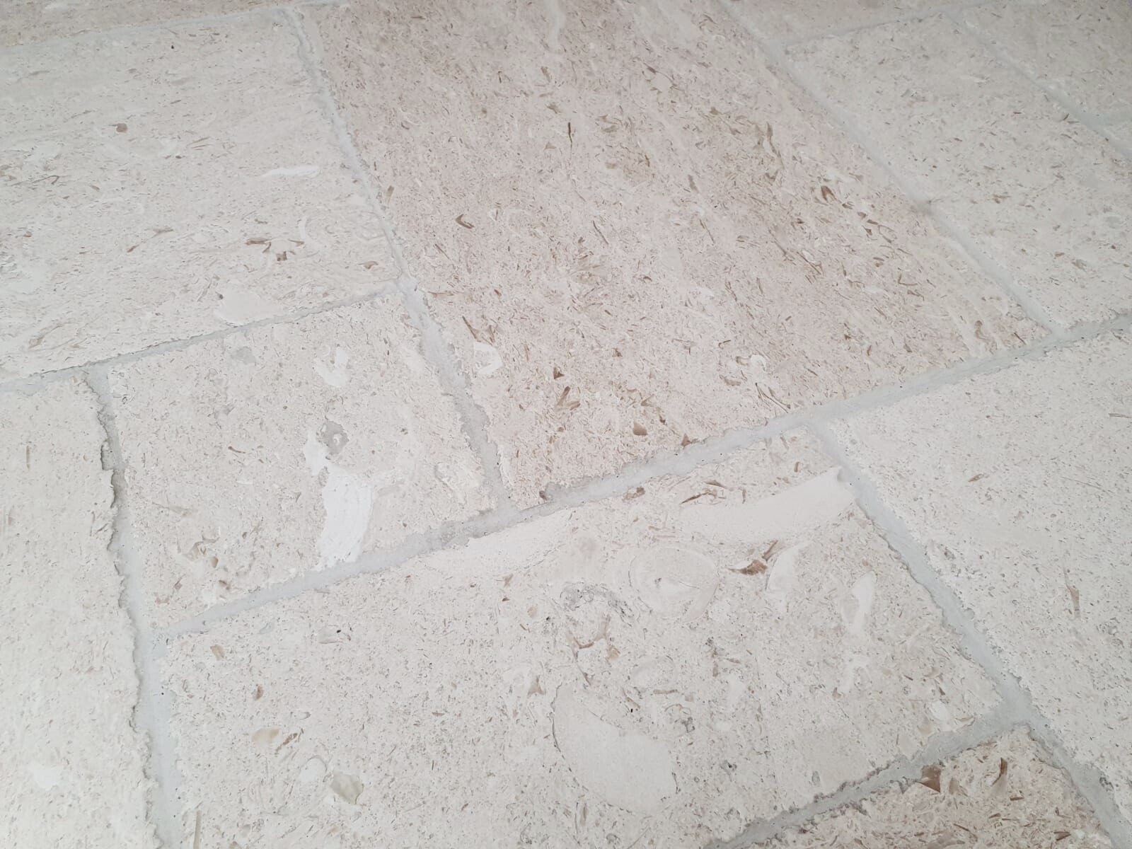 Sample of Antique Jerusalem Hebron (Shellstone) Limestone Floor Tiles ...