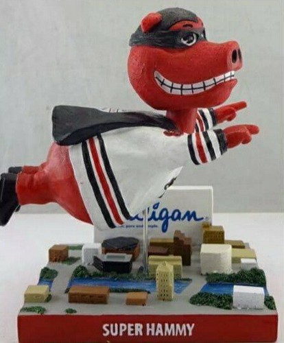 2018-2019 ROCKFORD ICEHOGS SUPER HERO "SUPER HAMMY" SGA BOBBLEHEAD ...