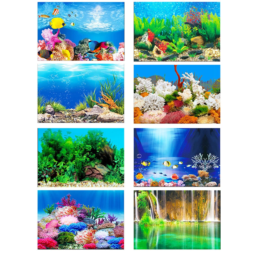 Aquarium Poster Background