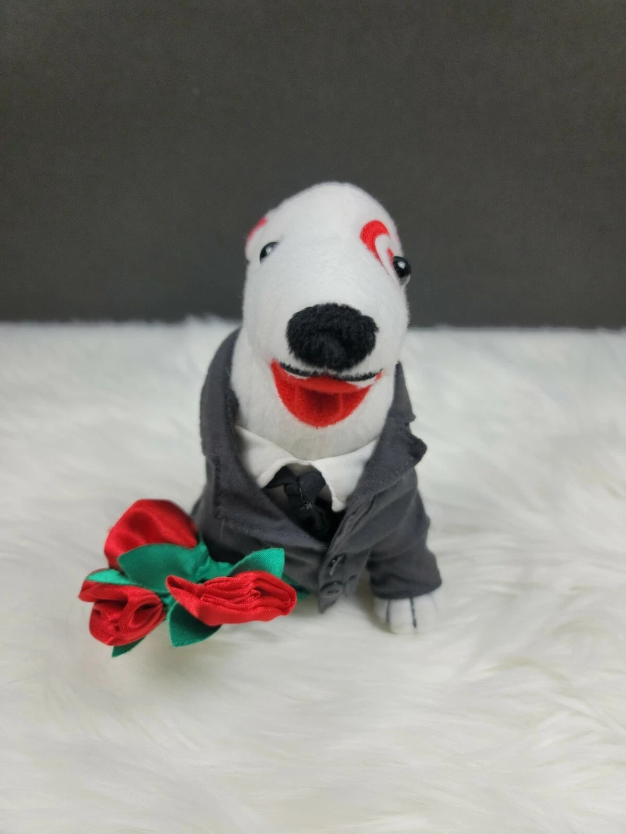 What Does The Target Dog Look Like