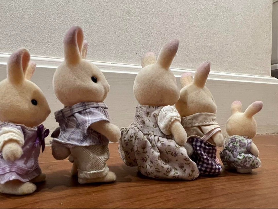 Sylvanian Families Lavender Rabbit Family Limited Hokkaido Calico ...