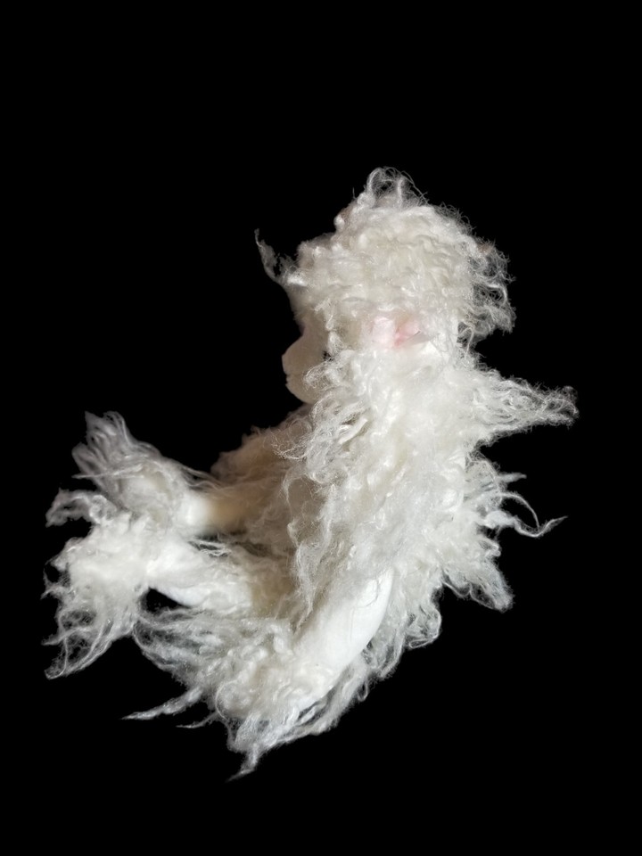 Candide Poodle Russ Realistic Look Plush big floppy white dog pink bows ...