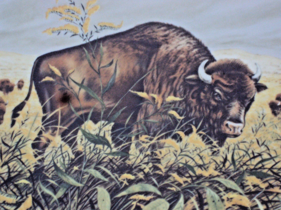 Pickard 13" American Buffalo 1976 Plate 32/2500 by James L. Lockhart ...