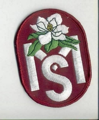 MS patch | eBay