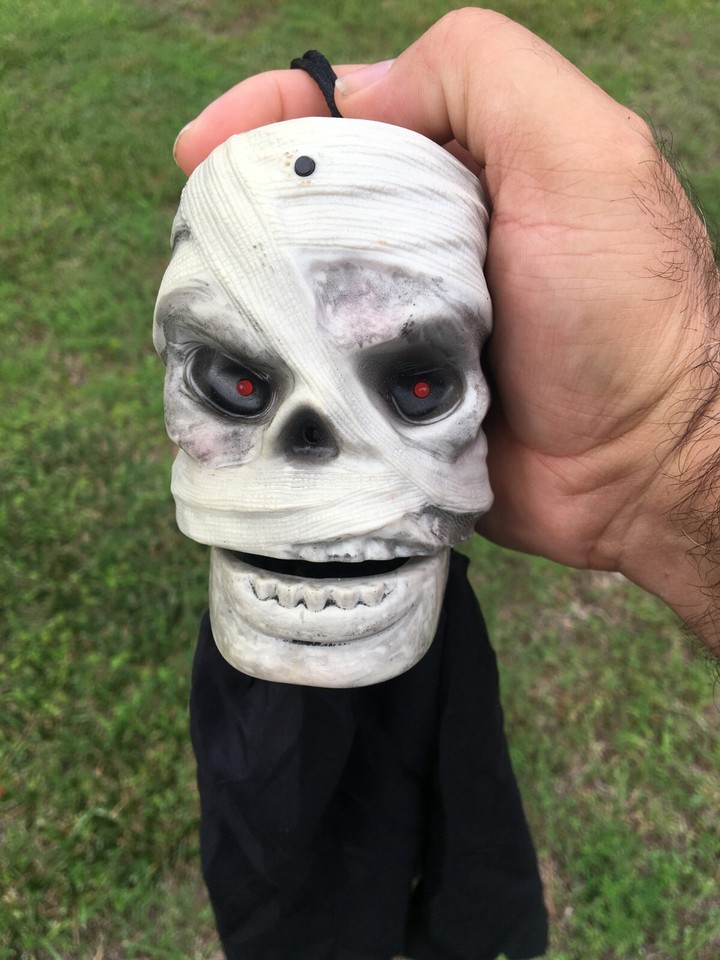 HTF Gemmy Halloween Hang Ups Mummy Skull Greeter Animated Lights Sounds ...