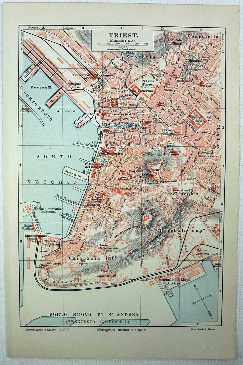 Xleague Trieste Map Team – Biovalley Group SpA