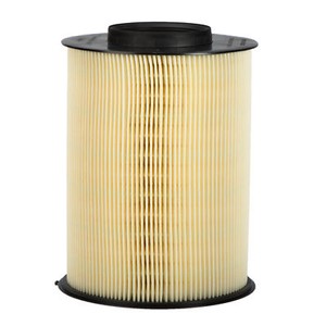 OEM Engine Air Filter Element 2013-18 Escape Focus Transit Connect MKC ...