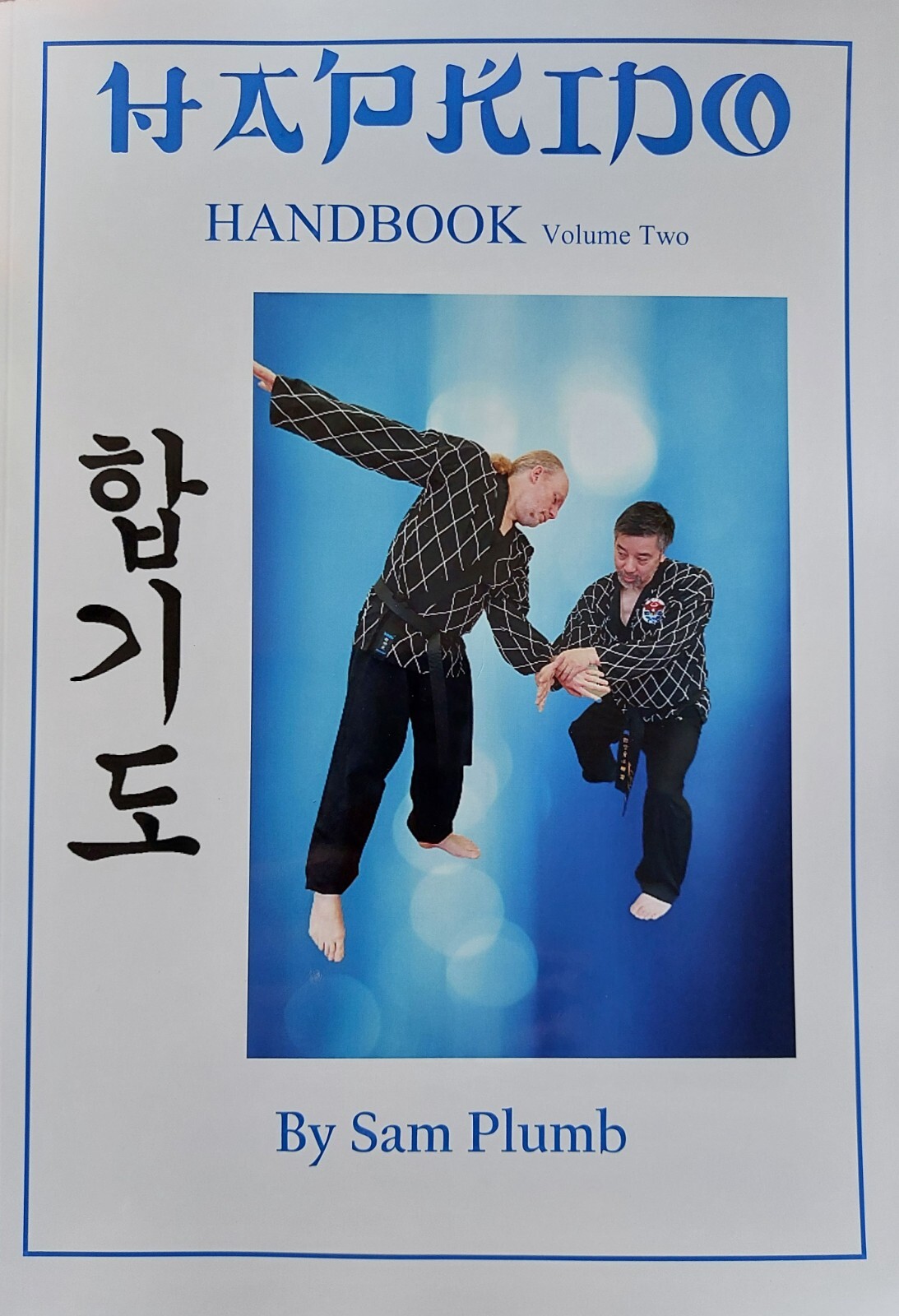 HAPKIDO HANDBOOK Volume 2. Korean Martial arts textbook by Sam Plumb | eBay
