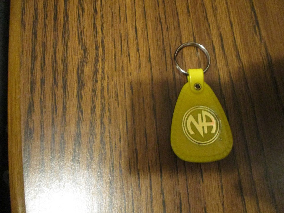 NA NARCOTICS ANONYMOUS KEY TAG CLEAN TIME - 9 MONTHS | eBay