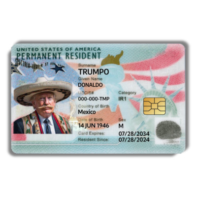 Funny Green Card Sticker (4-Pack) | Parody Credit Card Skin | Trump ...