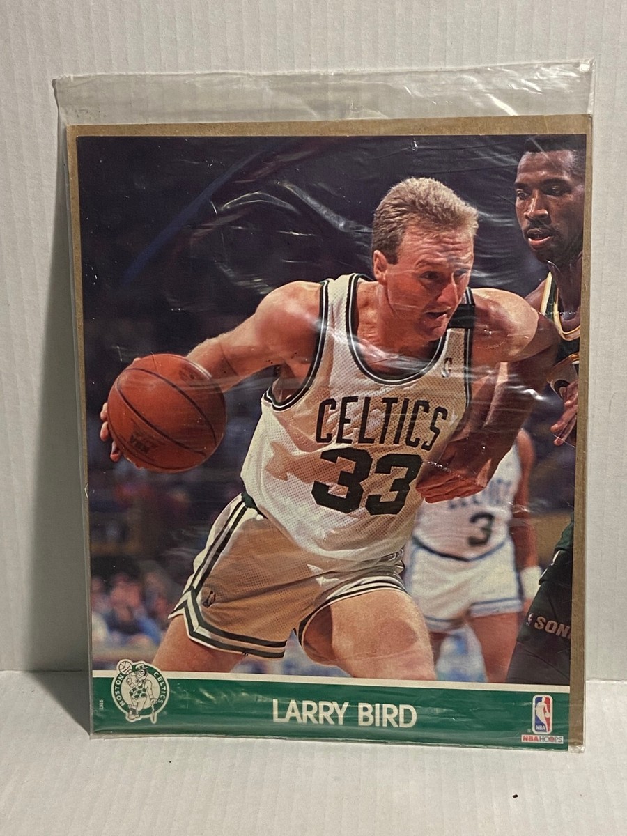 Larry Bird Son