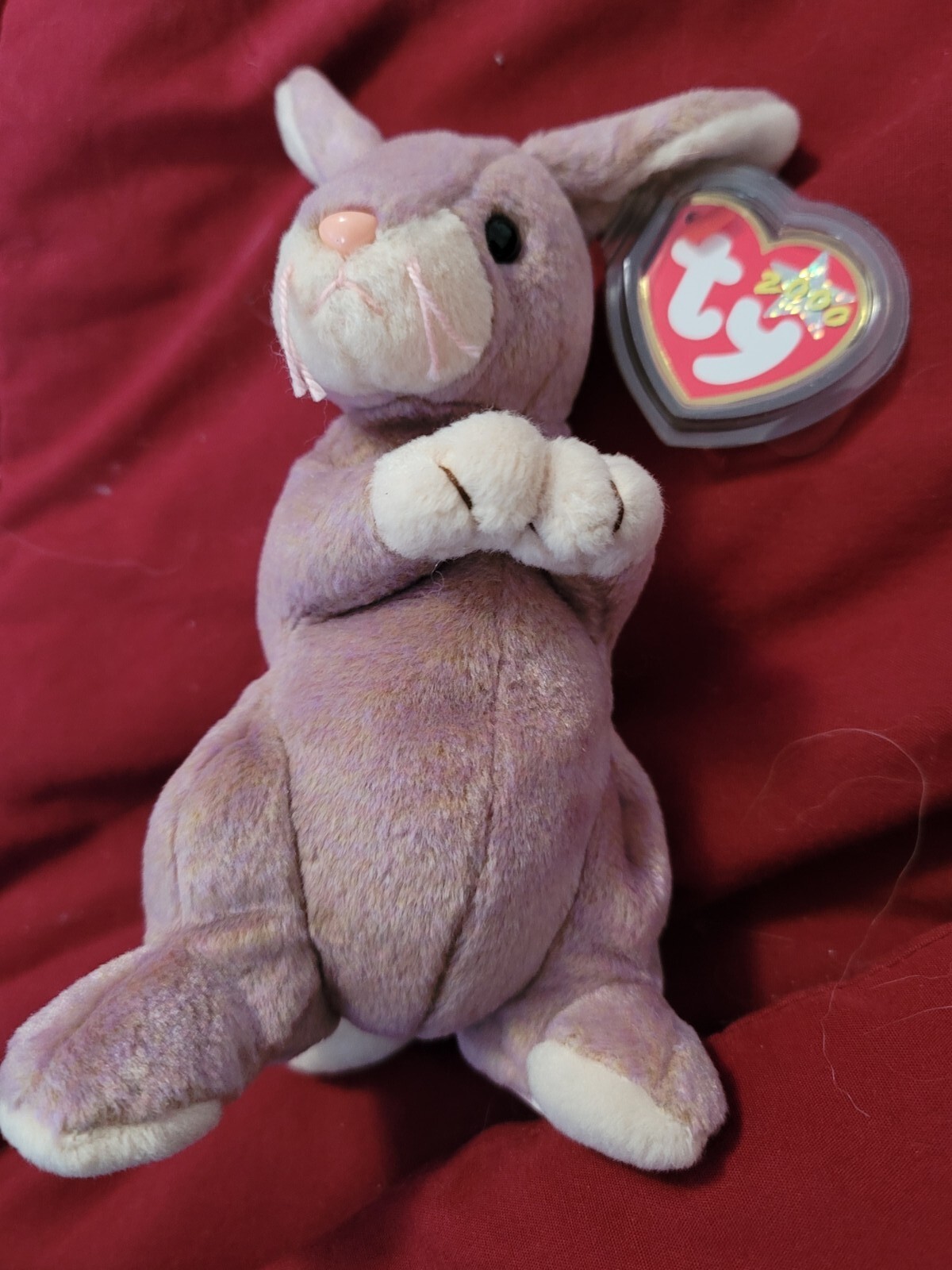 Ty Beanie Babies Springy Rabbit 6" 2000 Stuffed Animal Toy | eBay