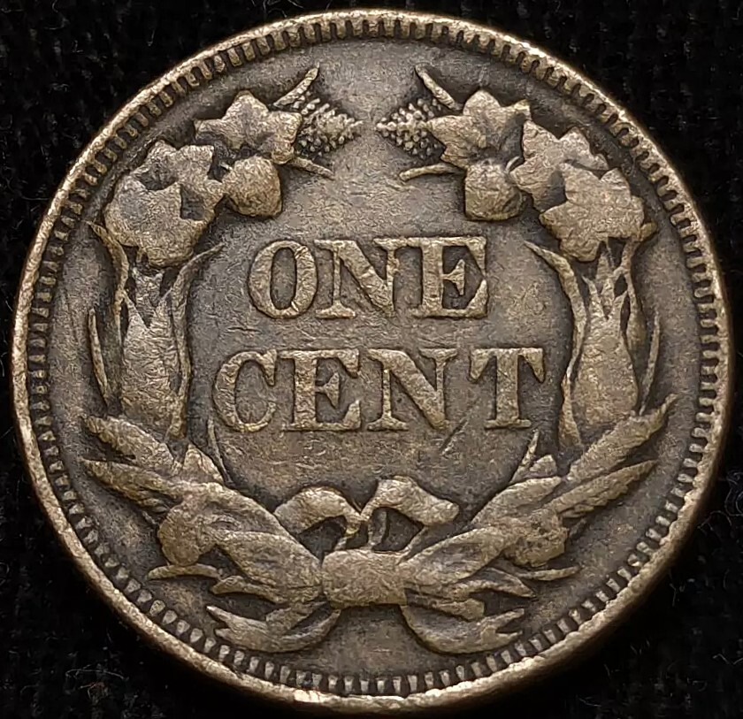 1858 LL Flying Eagle Cent Choice VF very fine bronze penny US type coin ...