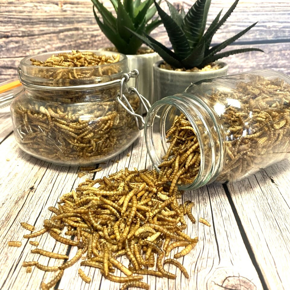 Premium Dried Mealworms, 10 Litre Wild Bird Food | eBay UK