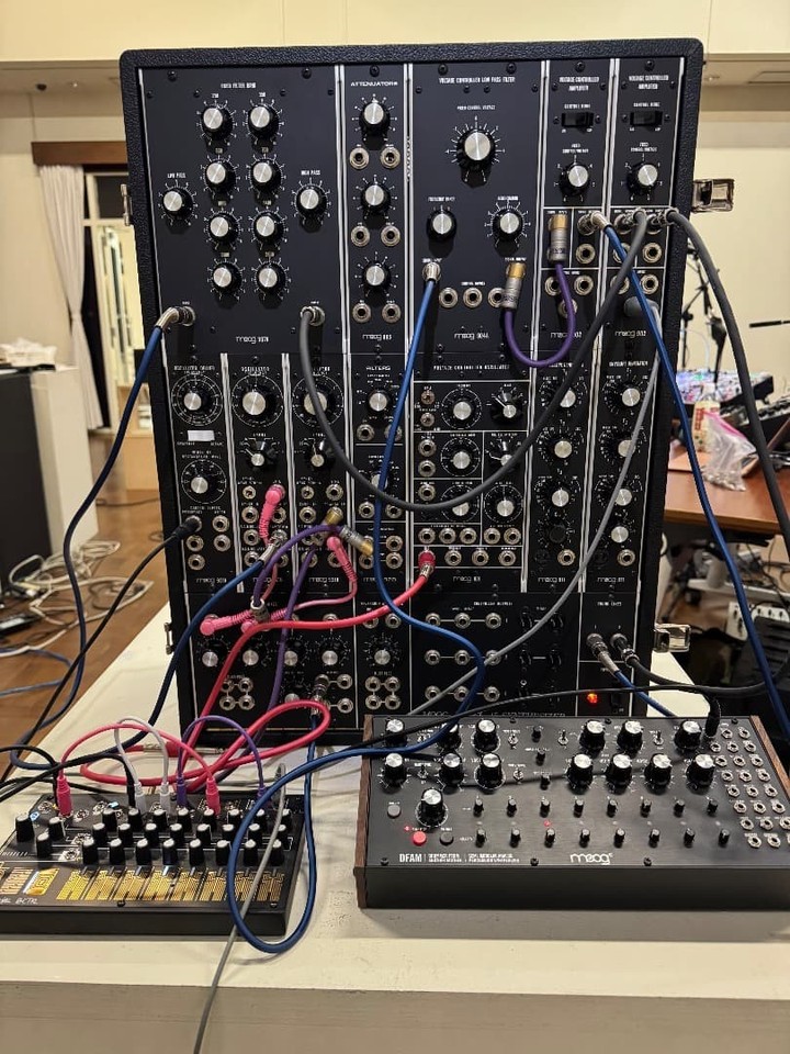 Moog Model 15 Modular Synthesizer 2015 Limited Edition Used | eBay