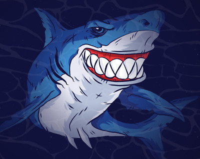 Smiling Shark Sticker Decal | eBay
