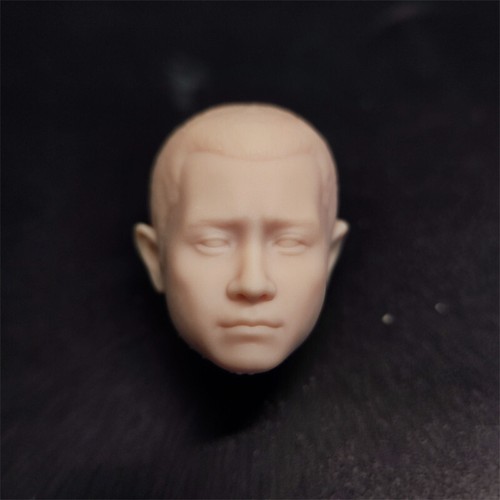 Blank 1/10 Scale Snow Leopard Wen Zhang Head Sculpt Unpainted Fit 7 ...