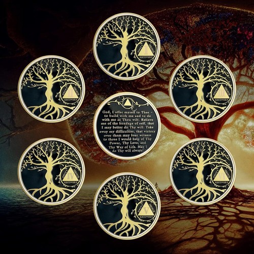 Personalized Tree of Life Sobriety Chip AA Chip Gift for Mern Women in ...