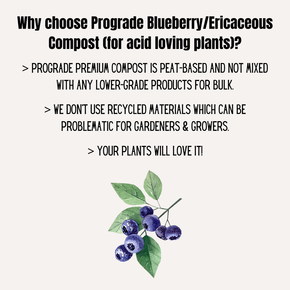 BLUEBERRY COMPOST For Potting & Growing - Ericaceous Peat-Based (Acid ...