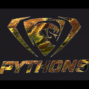 PYTHONS RACING GEARS | eBay Stores