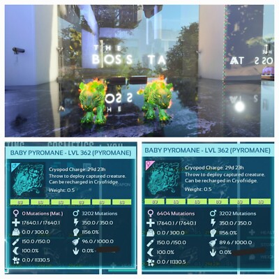 ARK ASCENDED PVE OFFICIAL PAIR BABY PYROMANE FULL #83 TOP STATUS PC ...