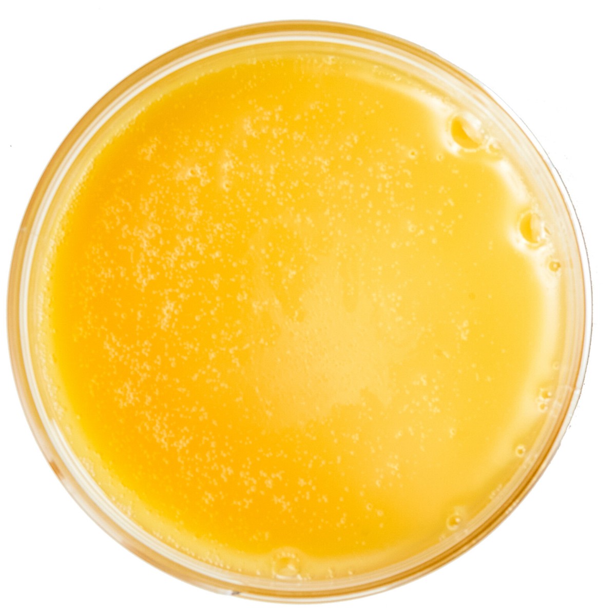 Lanolin Anhydrous Lanolin USP Grade 4 Oz. - 100% Pure Anhydrous ...