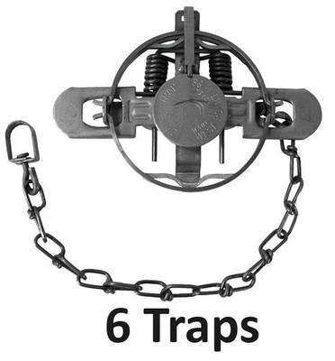 6 Duke # 1 1/2 Double Jaw Coil Spring Trap Trapping Supplies 6 Traps | eBay