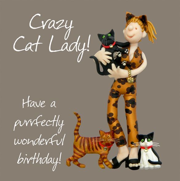 Crazy Cat Lady Memes Crazy Cat Lady Birthday Card | Thortful
