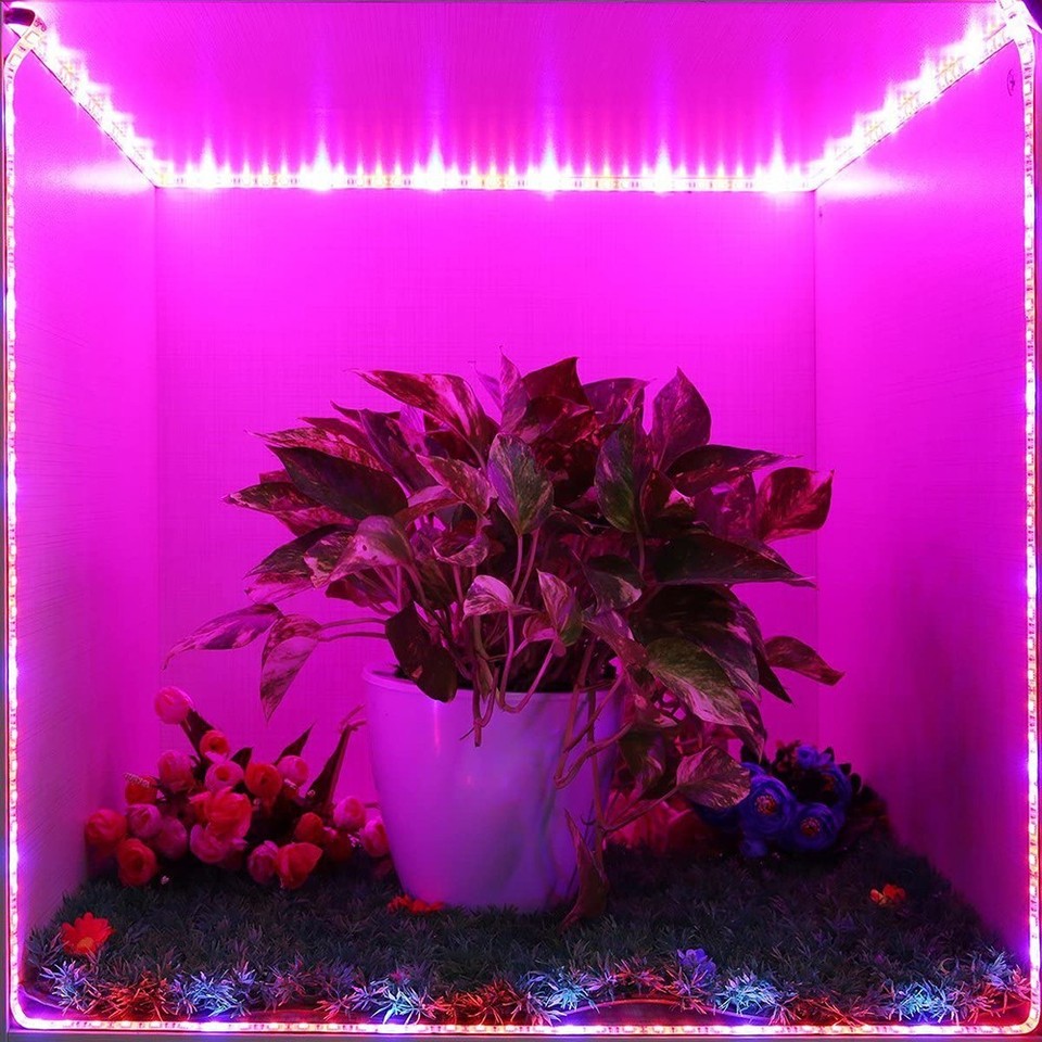 LED Grow Strip Light USB Full Spectrum SMD Indoor Plant Veg Growing ...