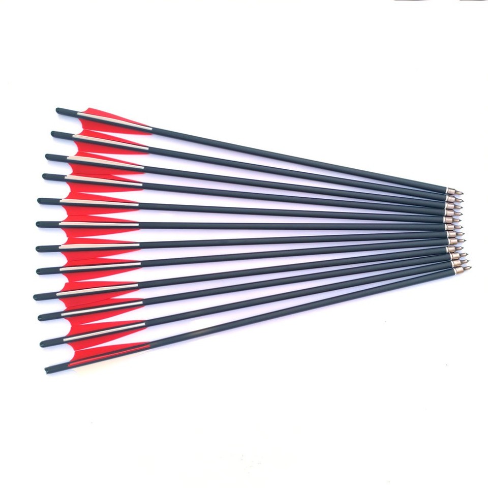 20" Carbon Crossbow Arrows Crossbow Bolts +/or 3X Lighted Nock Archery ...