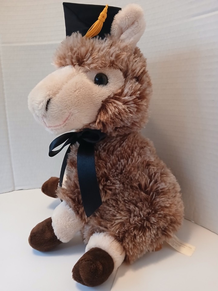 Dan Dee Graduation Singing Plush Stuffed Animal Congrats Grad Gift For ...