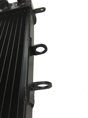 FULL ALUMINUM RACING RADIATOR FOR APRILIA RS4 125 RS4125 RSV125 | eBay